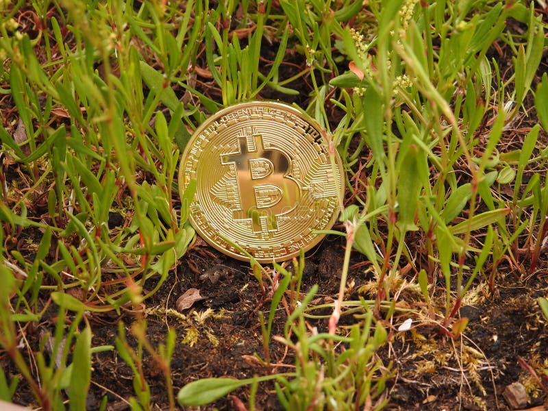 Golden Bitcoin and nature stock image. Image of cryptocurrencies - 93358935