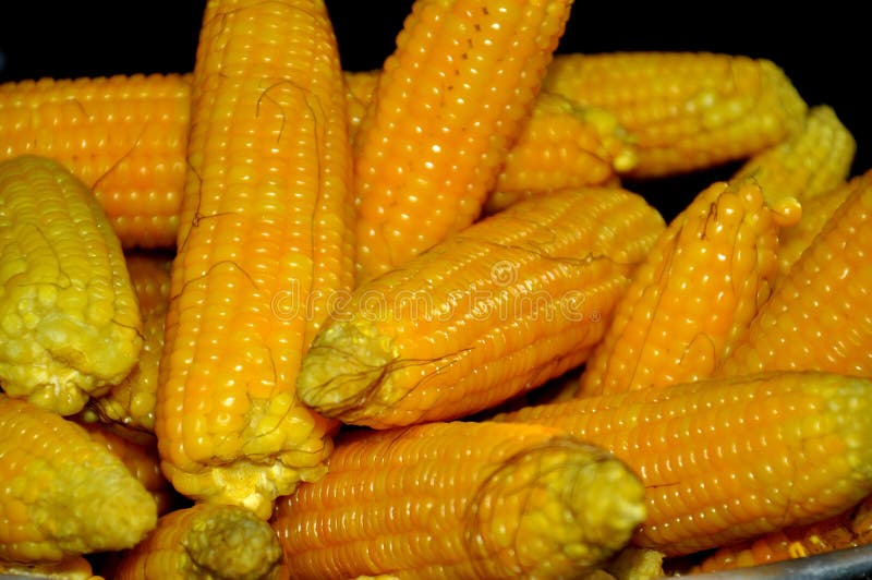 Golden boiled popcorn stock image. Image of shot, isolated - 61685697