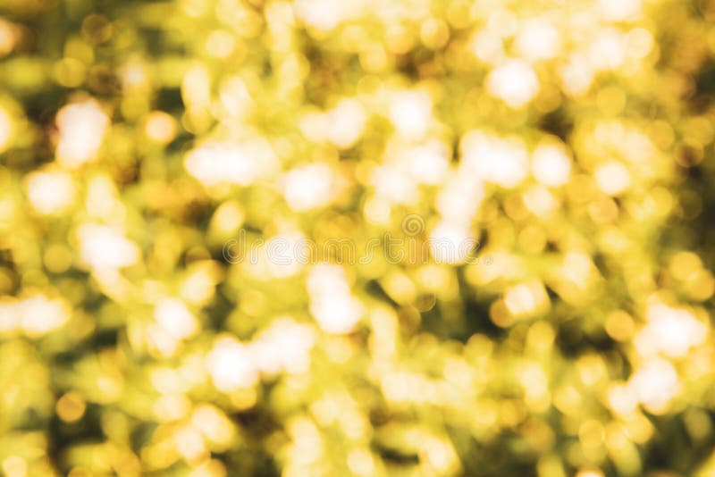 Golden Bokeh Background stock photo. Image of illuminated - 127196656