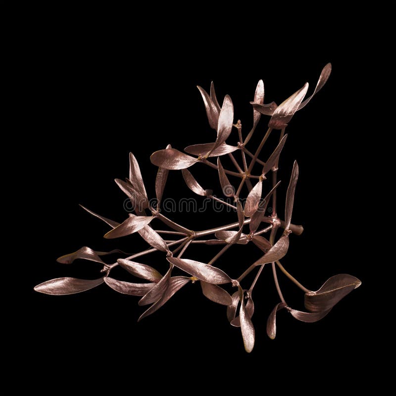 The Golden Bough Mistletoe stock image. Image of holiday - 22342639