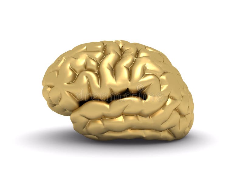 Golden brain stock illustration. Illustration of mind - 2036425