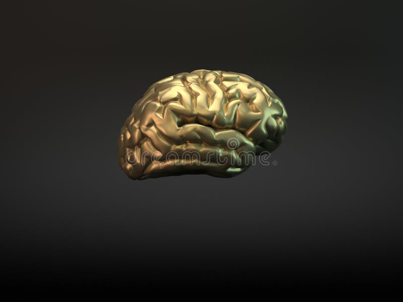 Golden brain stock illustration. Illustration of mind - 2036425
