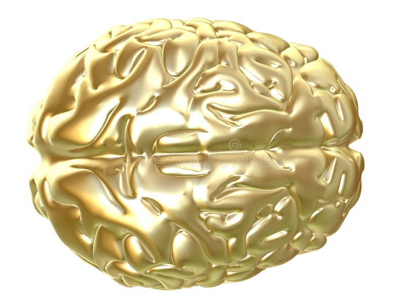 Gold Brain Isolated on White Stock Illustration - Illustration of ...