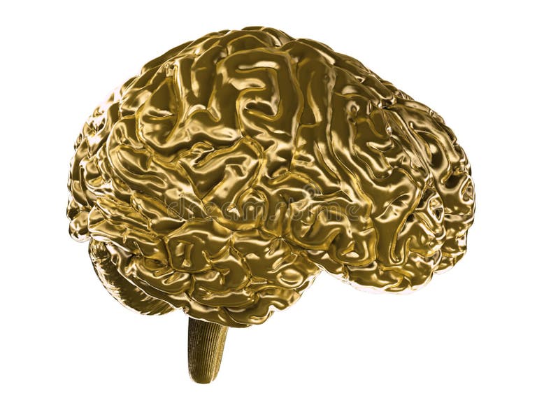 Golden Human Brain Stock Illustrations – 2,527 Golden Human Brain Stock ...