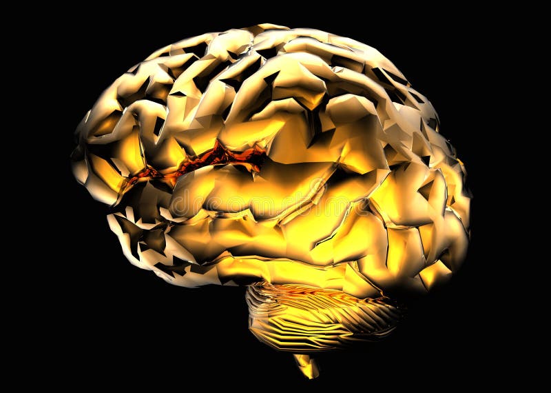 Golden Brain stock illustration. Illustration of abstract - 640019
