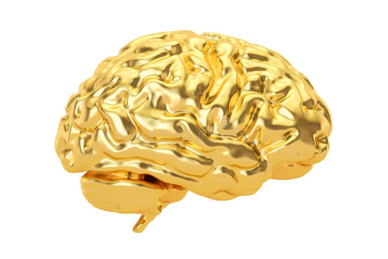Golden brain stock illustration. Illustration of mind - 2036425