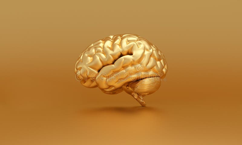 Golden Brain on Gold Background, Thinking, Genius Concept Stock ...