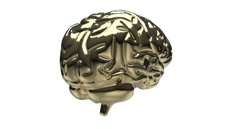 Golden Brain Illustration 3d Model Stock Illustration - Illustration of ...