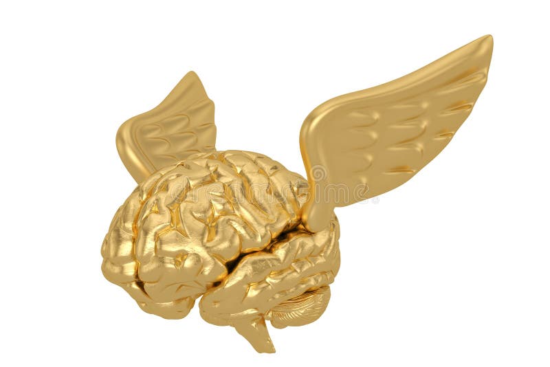 Golden brain stock illustration. Illustration of isolated - 81123371