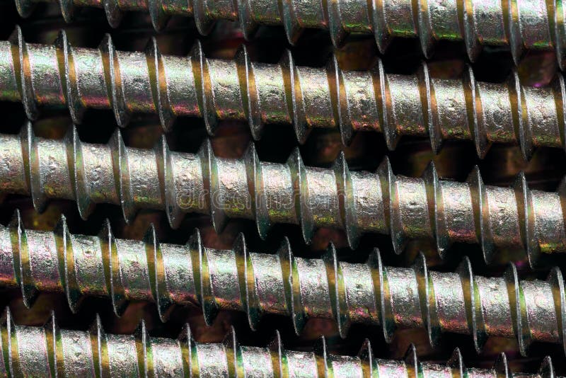 Golden Brass Steel Tapping Screws Galvanized with Tint Lined Ornamental ...