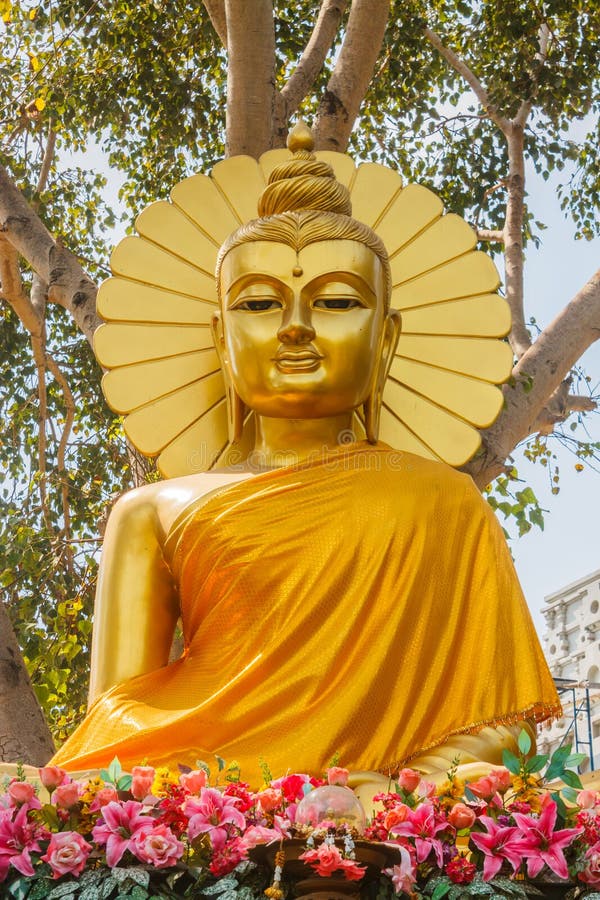 Golden buddha statue stock photo. Image of temple, calm - 39910492