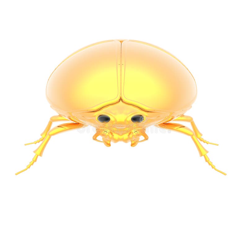 Golden bug stock illustration. Illustration of macro - 12932465