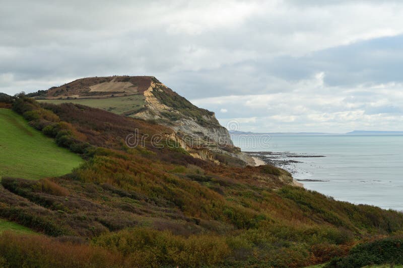 Golden cap stock image. Image of countryside, idyllic - 134980695