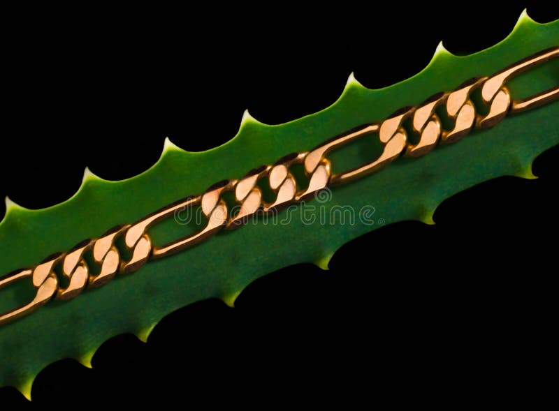 Golden Chain on a Leaf Love, Macro Stock Image - Image of gold, lock ...