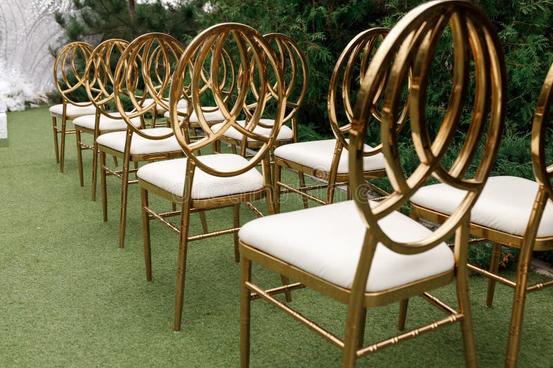 Golden Chairs are Displayed for a Wedding Ceremony Stock Photo - Image ...