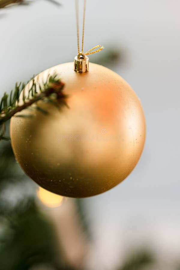 Golden Christmas Decorative Ball Hanging from a Christmas Tree.. Stock ...