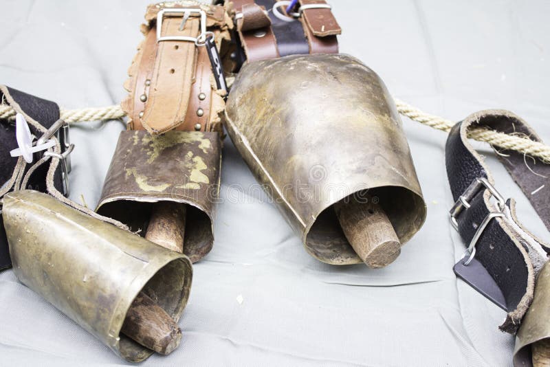 Golden clappers stock photo. Image of area, ranch, cowbell - 44101502