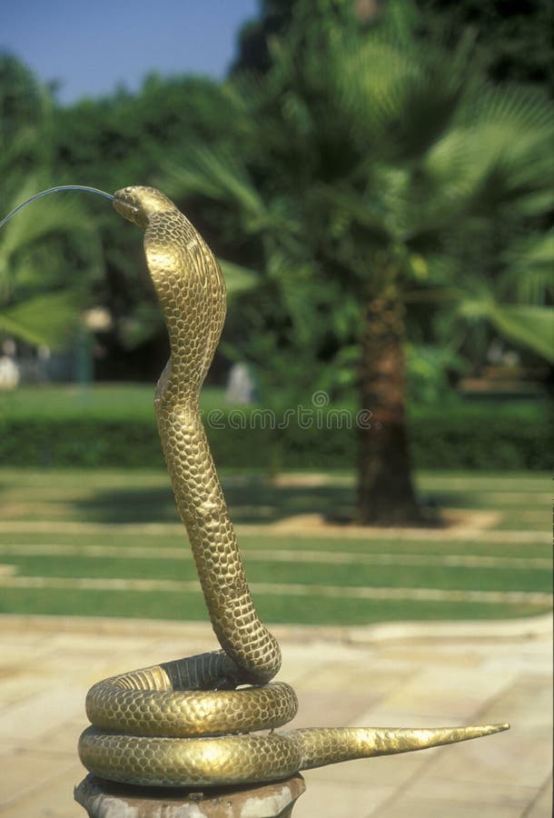 Golden Cobra stock image. Image of fountain, hood, cape - 3847387
