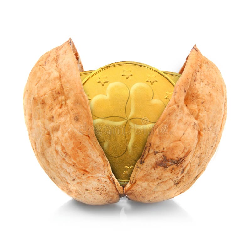 Golden Coins in the Nutshell. Stock Image - Image of currency, banking ...