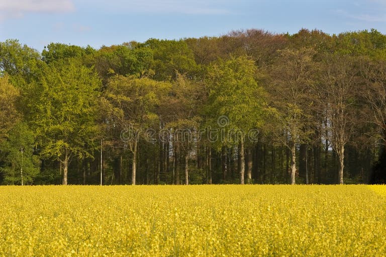 1,689 Oil Field World Stock Photos - Free & Royalty-Free Stock Photos ...