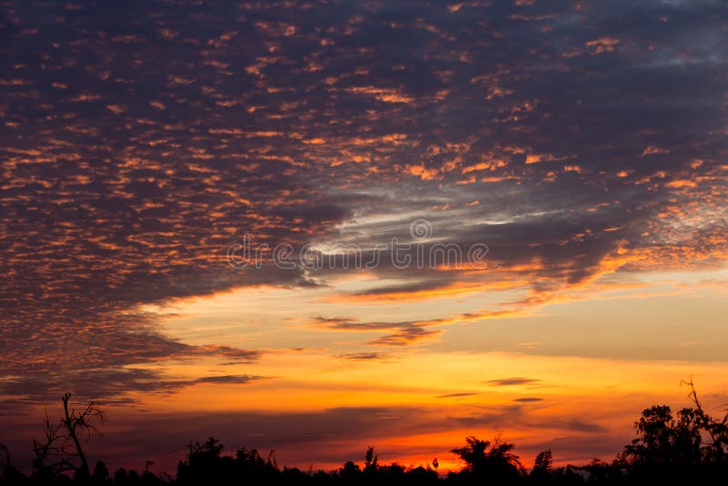 Golden Color of Dramatic Clouds and Sky. Stock Photo - Image of ...