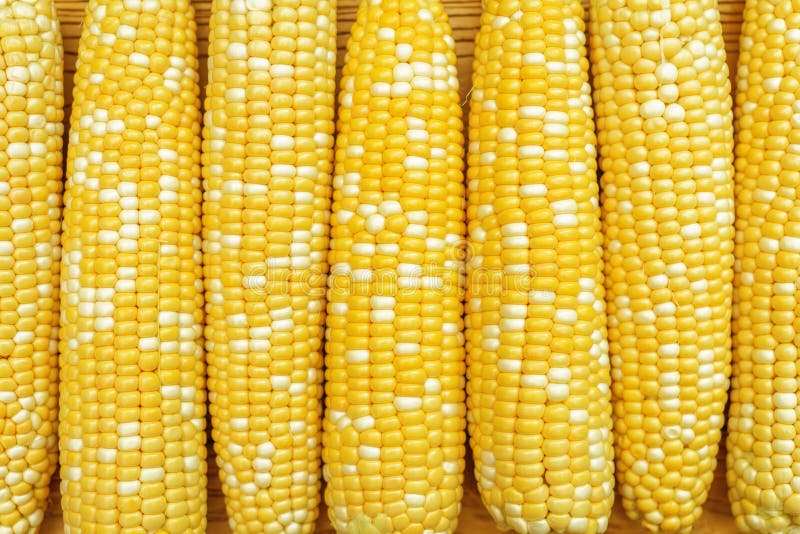 Golden Color Maize Background Closeup Stock Image - Image of ...