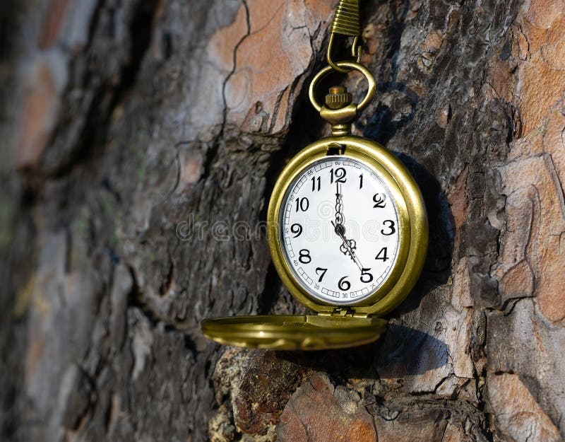 Golden Colored Pocket Watch on a Tree Stock Photo - Image of detail ...