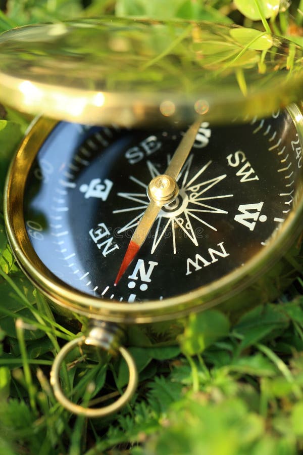 Golden compass stock image. Image of closeup, grassy - 31892709