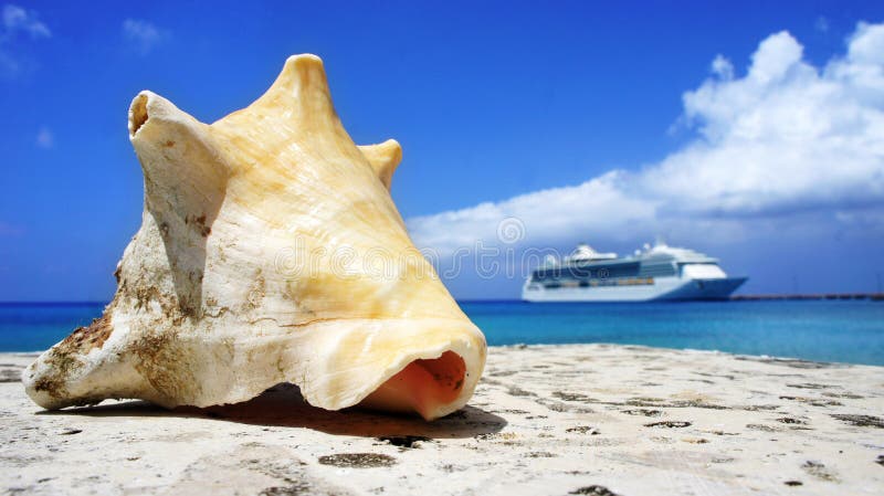 Conch and Ship stock image. Image of conch, sunshine - 30248389