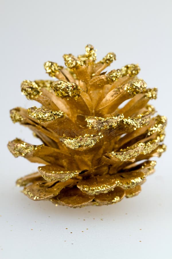 430+ Golden cone Free Stock Photos - StockFreeImages