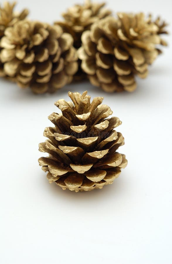 Golden cones stock image. Image of cone, holiday, december - 6524185