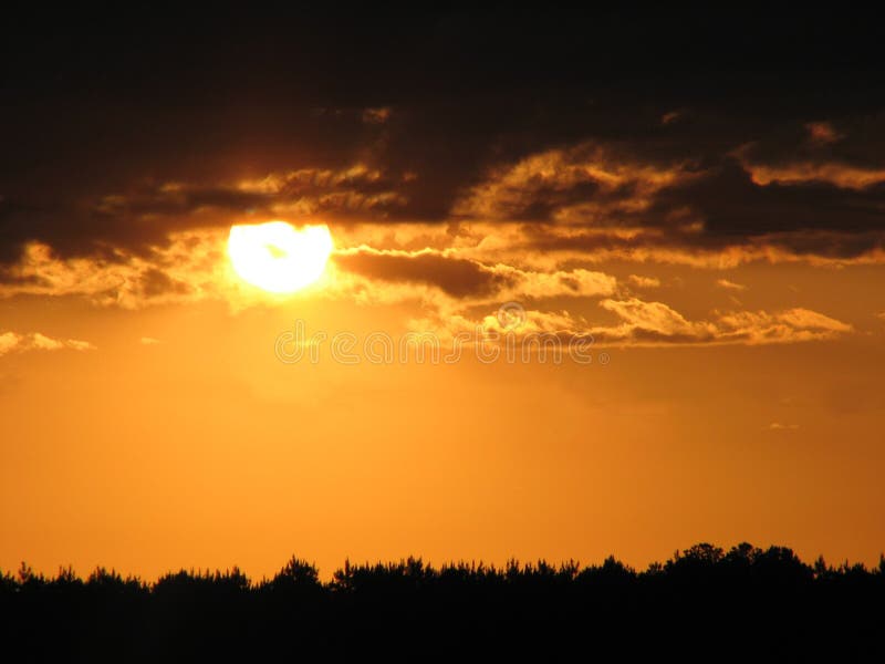 Golden Contrast stock photo. Image of orange, black, yellow - 2693126