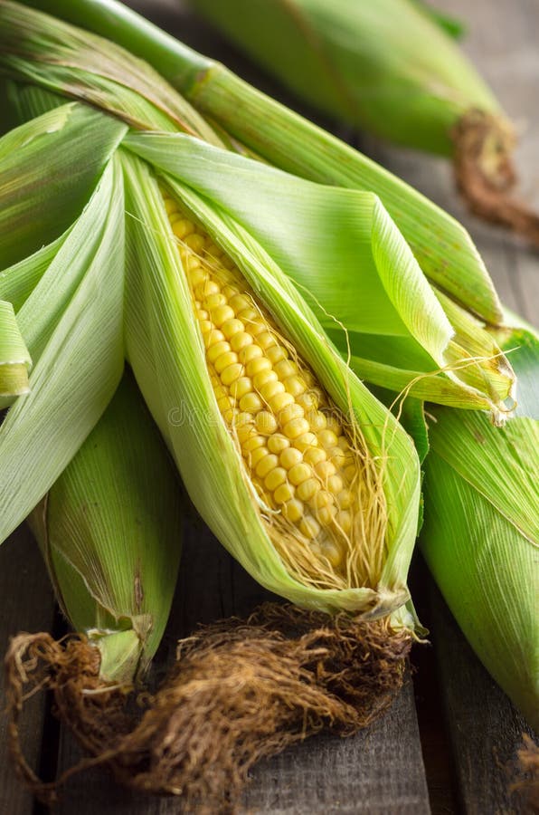Golden corn cob on table stock photo. Image of diet, vegetarian - 56012362