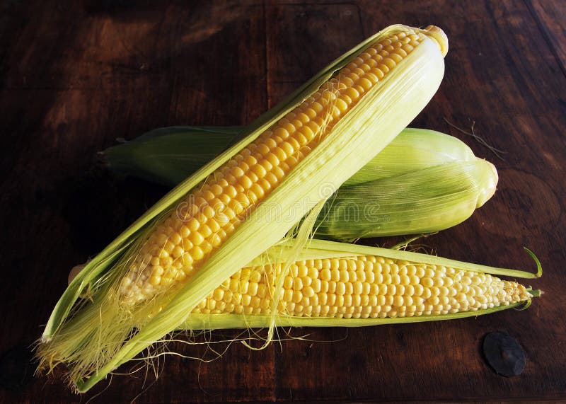 Golden Corn Composition stock image. Image of vibrant - 2839205