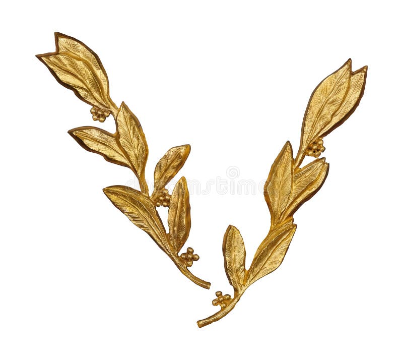 Golden Decorative Element with Floral Pattern Isolated on White ...