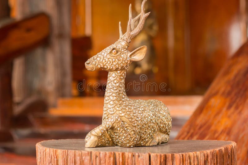 Golden Deer Spider on the Timber. Stock Photo - Image of luxury ...