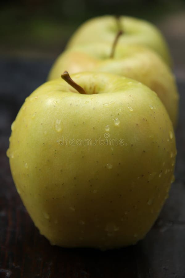 Red apples stock photo. Image of group, objects, photography - 34446052