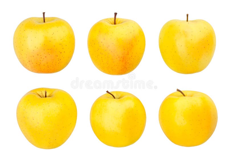 Golden delicious apples stock image. Image of white, fresh - 82240795