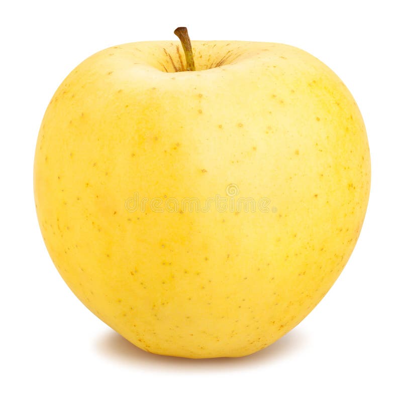 Golden delicious apples stock image. Image of isolated - 184360087