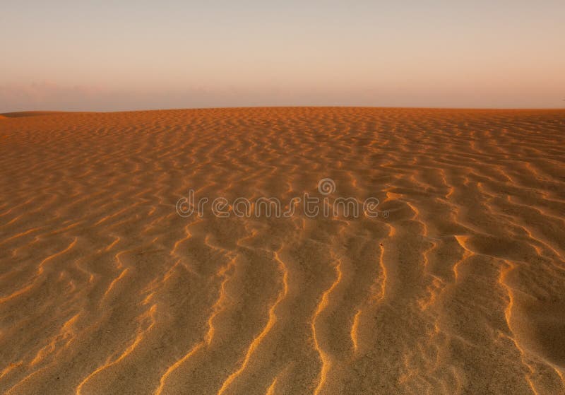 Golden Desert stock photo. Image of dune, sunshine, warm - 25436966