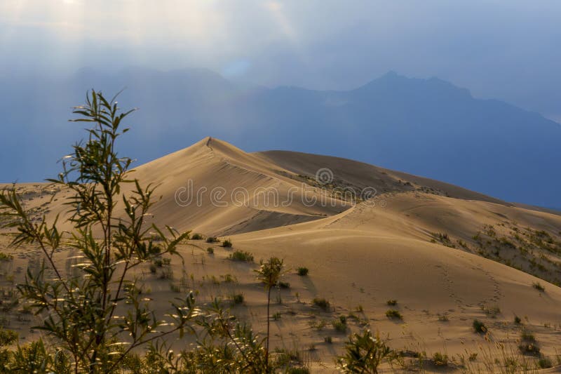 Golden Desert Dunes Illuminated by Sunbeams Under a Dramatic Sky Stock ...