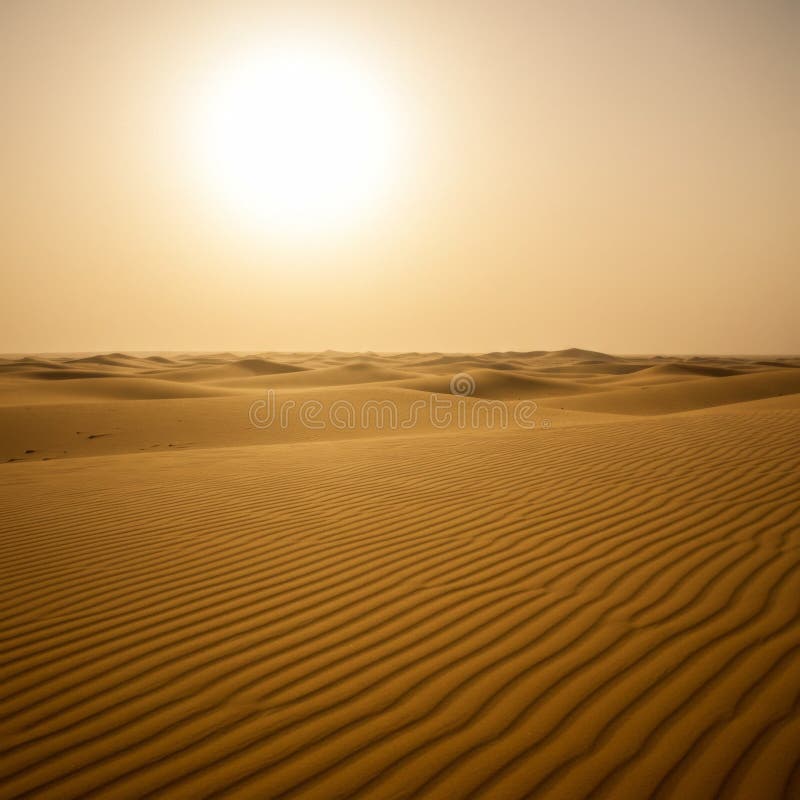 Golden Desert Dunes at Sunset Stock Illustration - Illustration of view ...