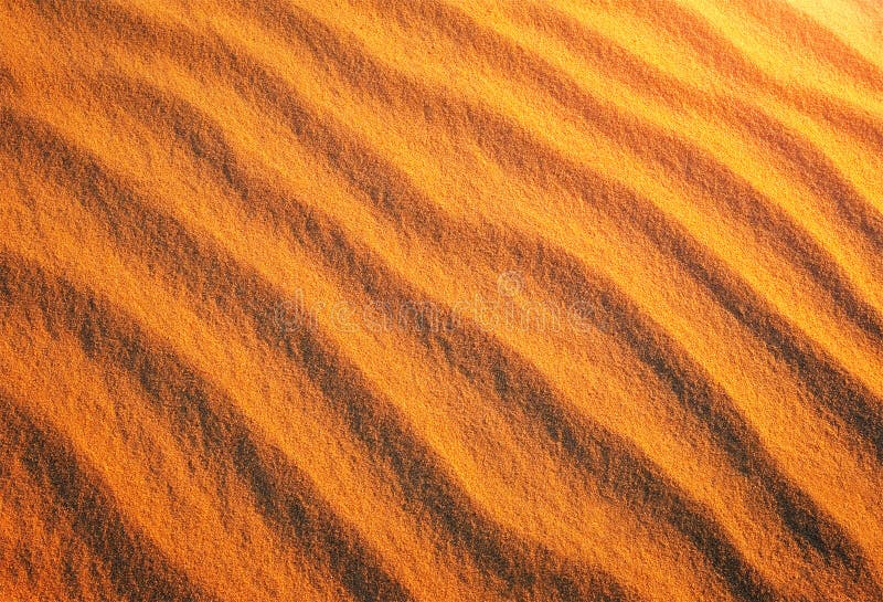 Golden Desert Sand during Sunset Stock Image - Image of sandy, closeup ...