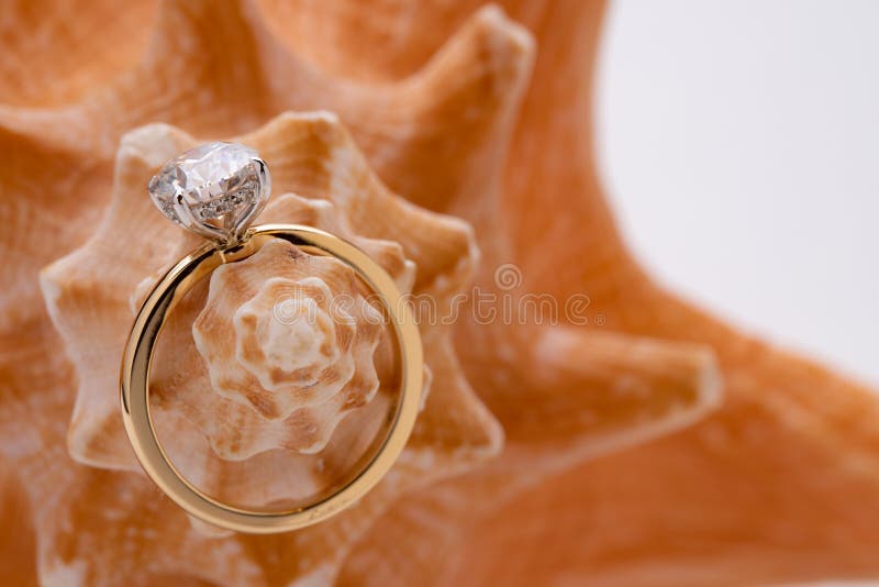 Golden Diamond Ring on Seashell Stock Image - Image of gemstone ...