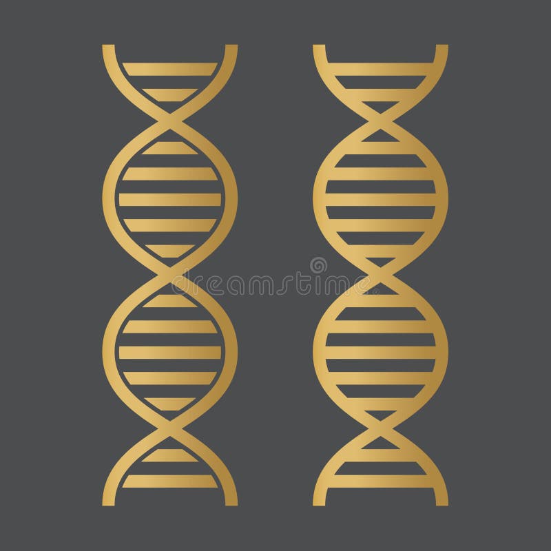 Golden DNA helix icon stock vector. Illustration of concept - 179306190