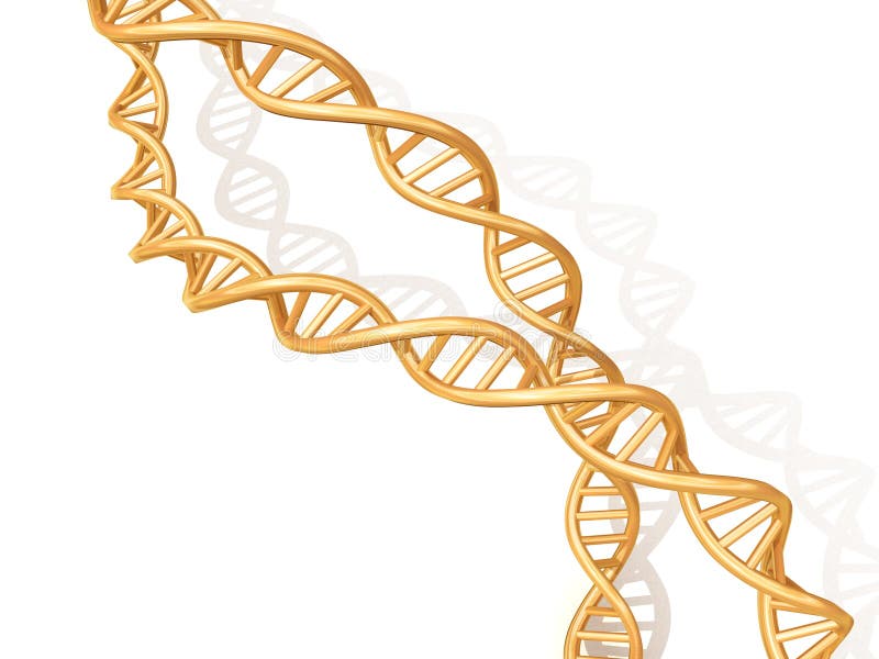 DNA strings stock illustration. Illustration of clone - 35133159