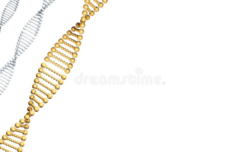 Golden DNA with White DNA with Copy Space, Isolated on White Background ...