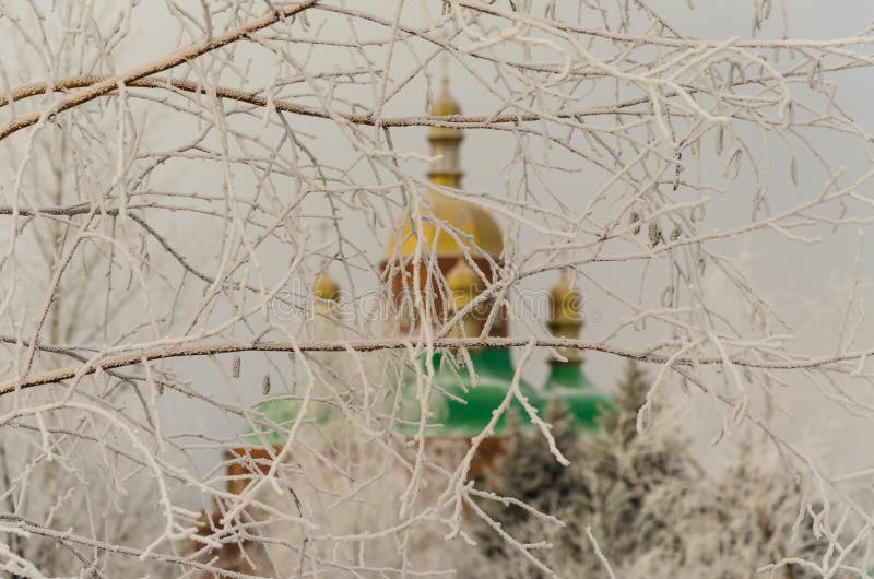 Golden Domes Behind the Branches of Trees in Winter Stock Photo - Image ...