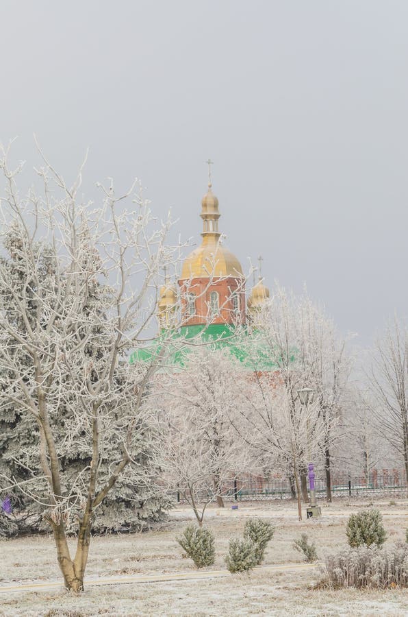 Golden Domes Behind the Branches of Trees in Winter Stock Image - Image ...