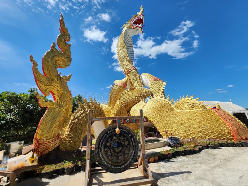 Golden Dragon Naga in Loei, Thailand Stock Image - Image of loei, dragon: 385364855